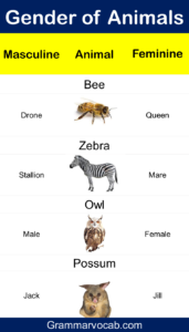 Masculine and Feminine Gender of Animals List - GrammarVocab