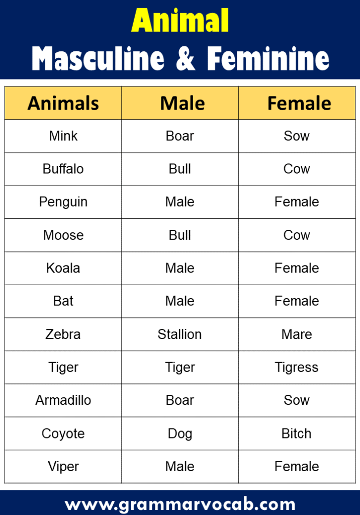 List of Masculine and Feminine Gender of Animals - GrammarVocab