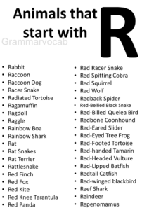 Animals That Begin With R | Pictures | PDF - GrammarVocab
