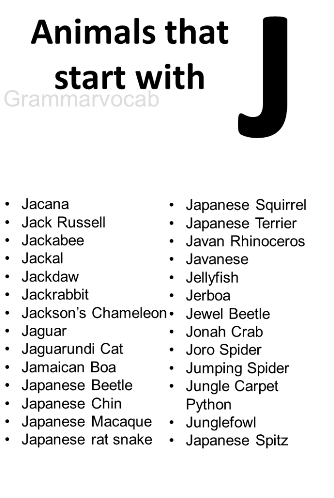 Animals That Start With J In English - GrammarVocab