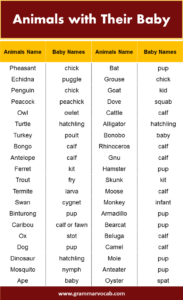 Animals with Their Baby Name - GrammarVocab