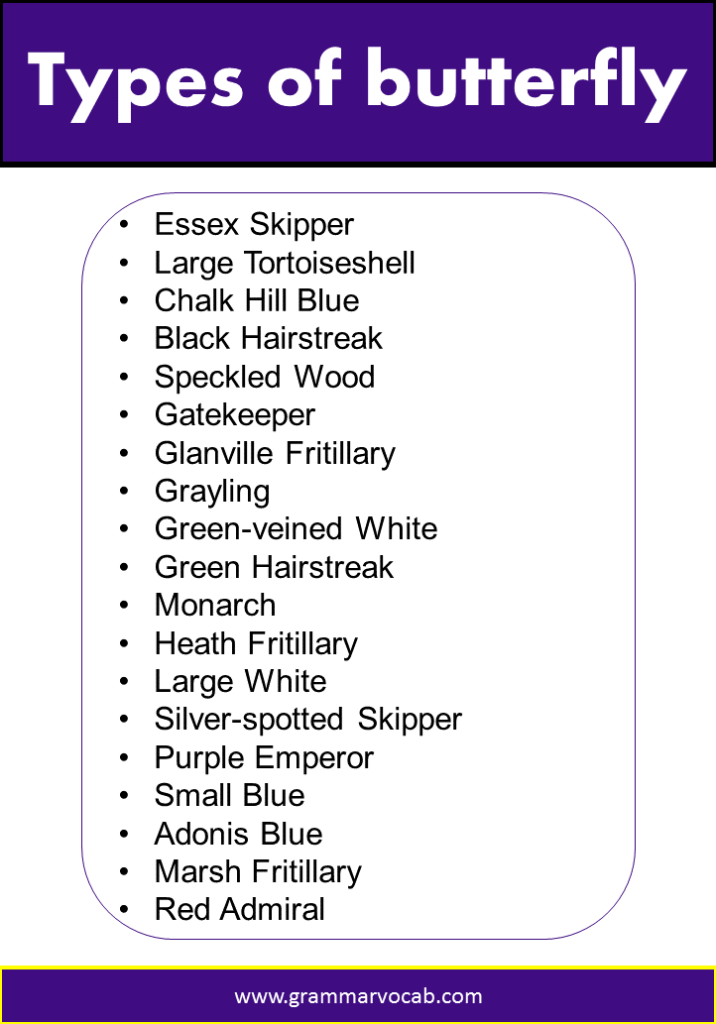 Types Of Butterfly - GrammarVocab