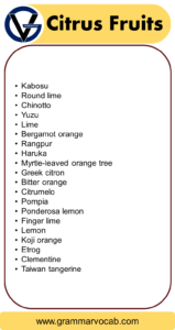 List of All Citrus Fruits | Citrus Fruits Name With Pictures - GrammarVocab
