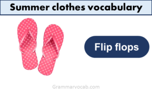 List of Summer Clothes Names - Clothes Name with Pictures - GrammarVocab