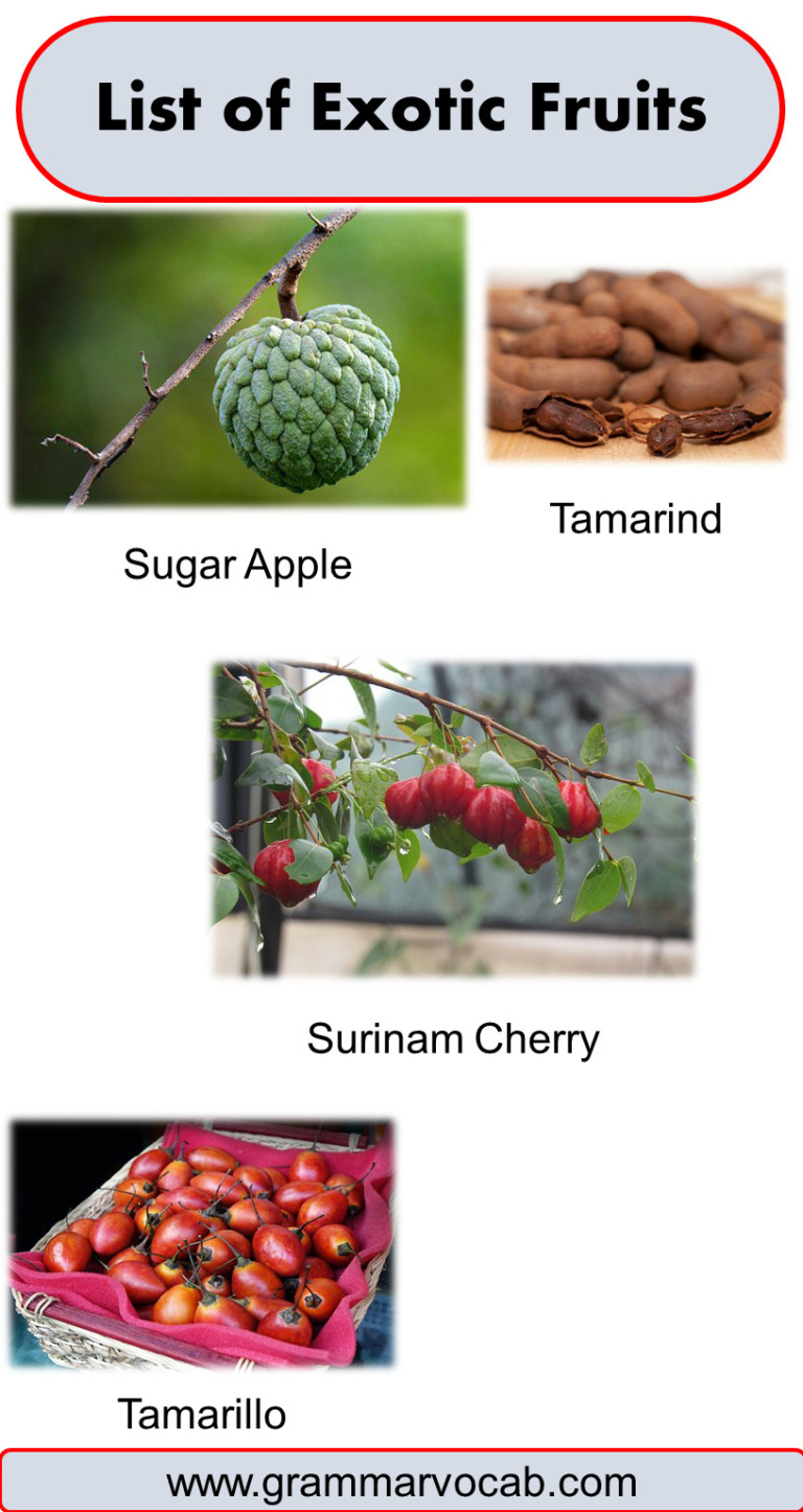 List of Exotic Fruits Names | Pictures - GrammarVocab