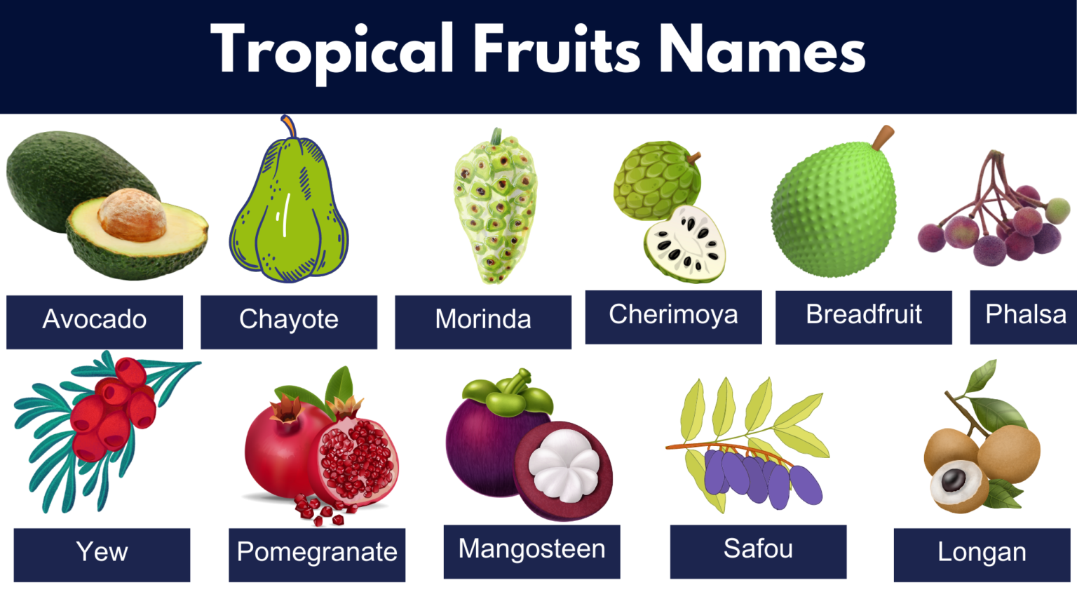 List of All Tropical Fruits Name, Pictures, PDF - GrammarVocab