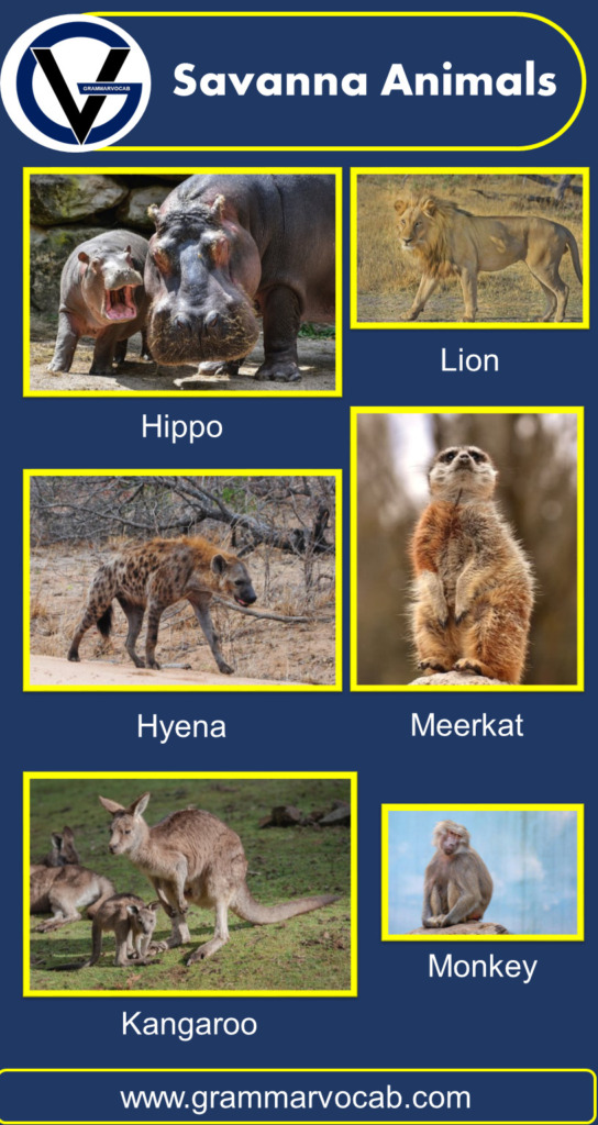 Savanna Animals: Savanna Animals Names with Pictures | PDF - GrammarVocab