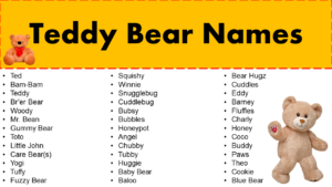 Good Teddy Bear Names: Cute, Famous & Traditional - GrammarVocab