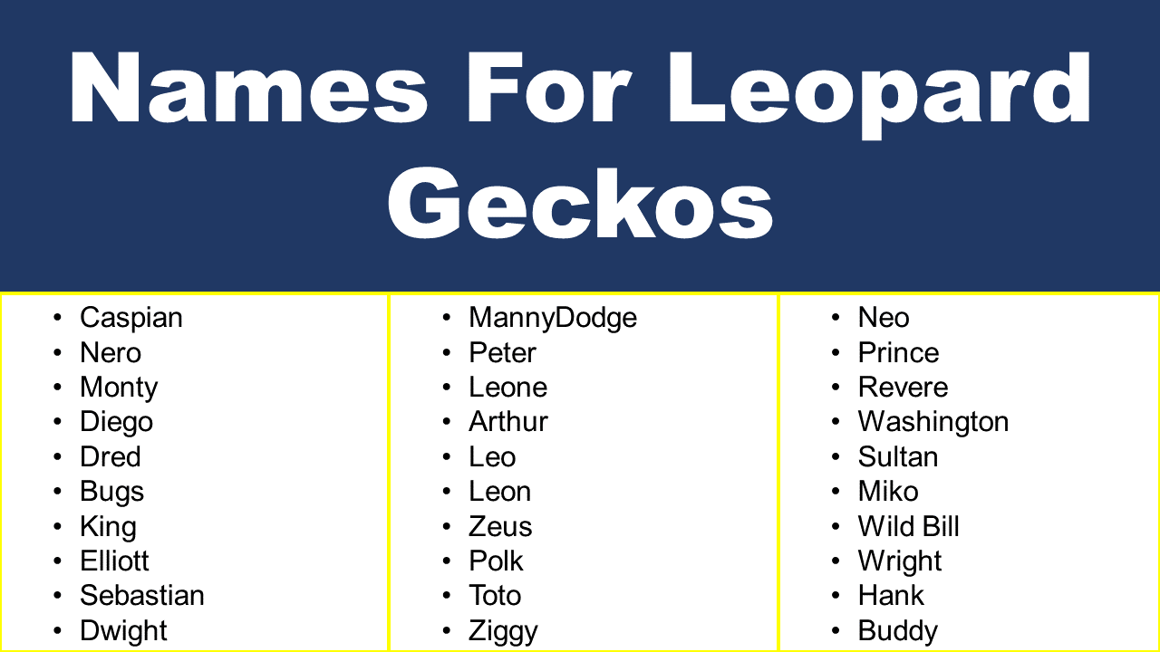 Names For Leopard Geckos GrammarVocab Names For Leopard Geckos GrammarVocab
