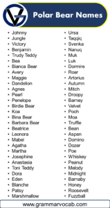 Polar Bear Names - GrammarVocab