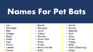 Names For Pet Bats - GrammarVocab