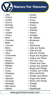 Names For Hamster - GrammarVocab