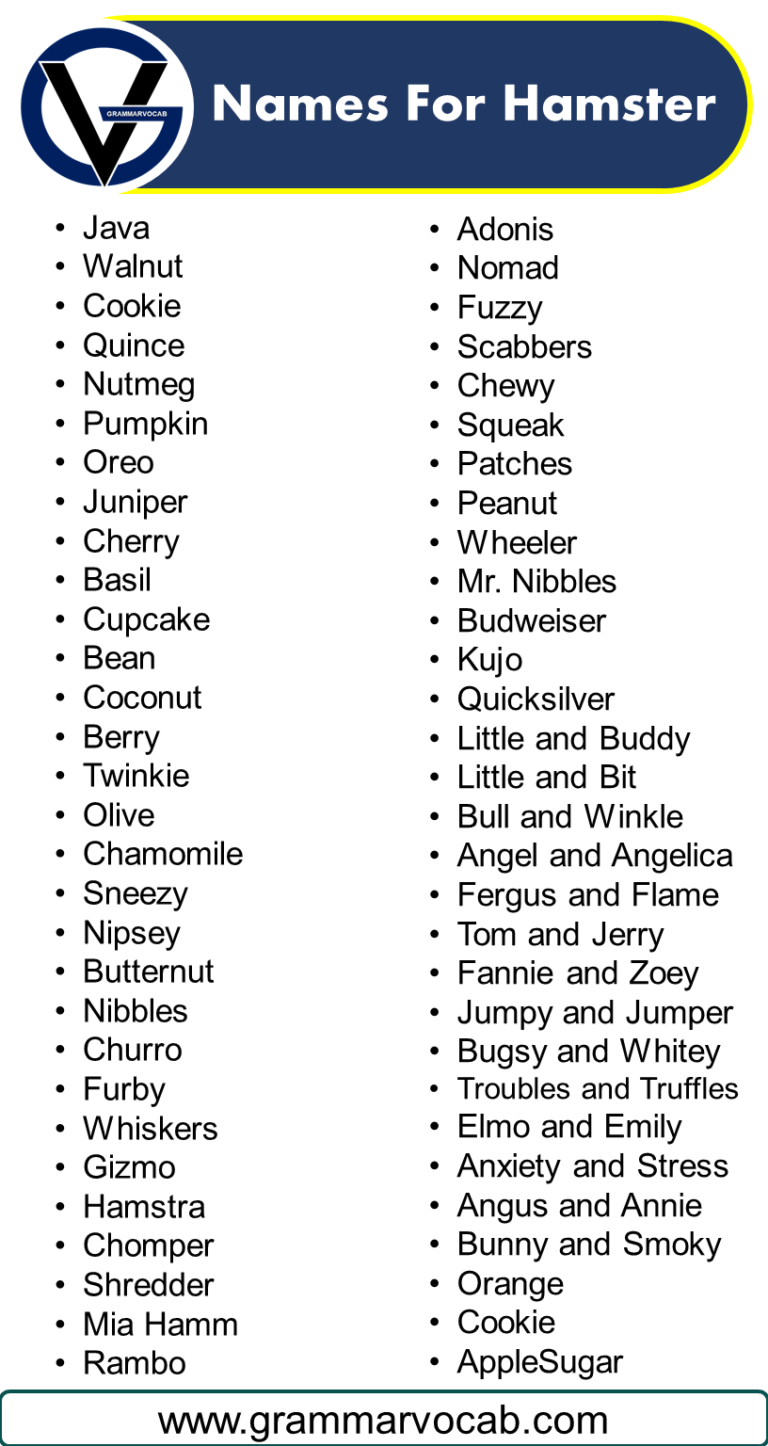 Names For Hamster - GrammarVocab