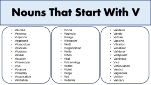 List of Nouns That Start With V - GrammarVocab