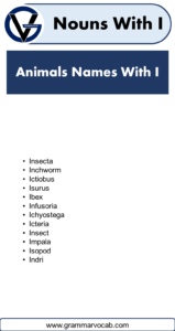 List of Nouns That Start With I - List Of Nouns - GrammarVocab