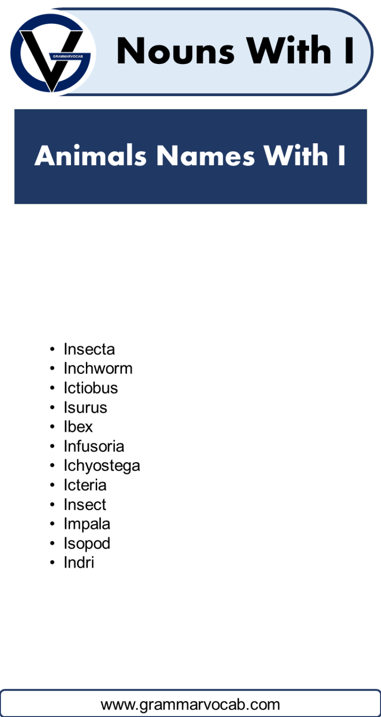 List of Nouns That Start With I - List Of Nouns - GrammarVocab