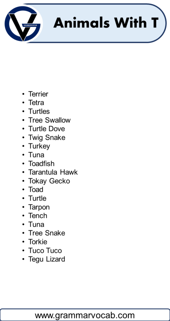 List of Nouns That Start With T - GrammarVocab