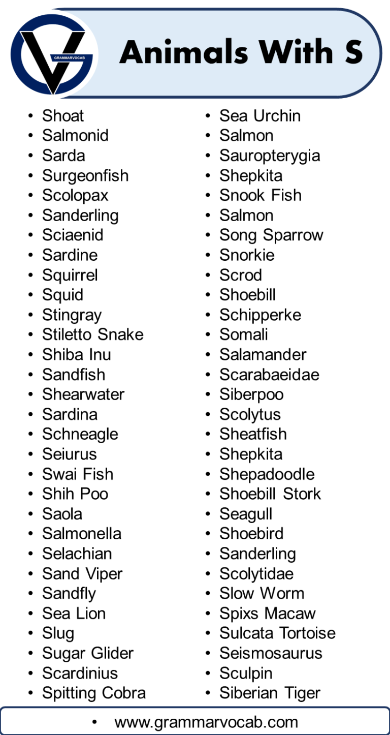 List of Nouns That Start With S - GrammarVocab