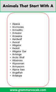 List of Nouns Starting With A - GrammarVocab