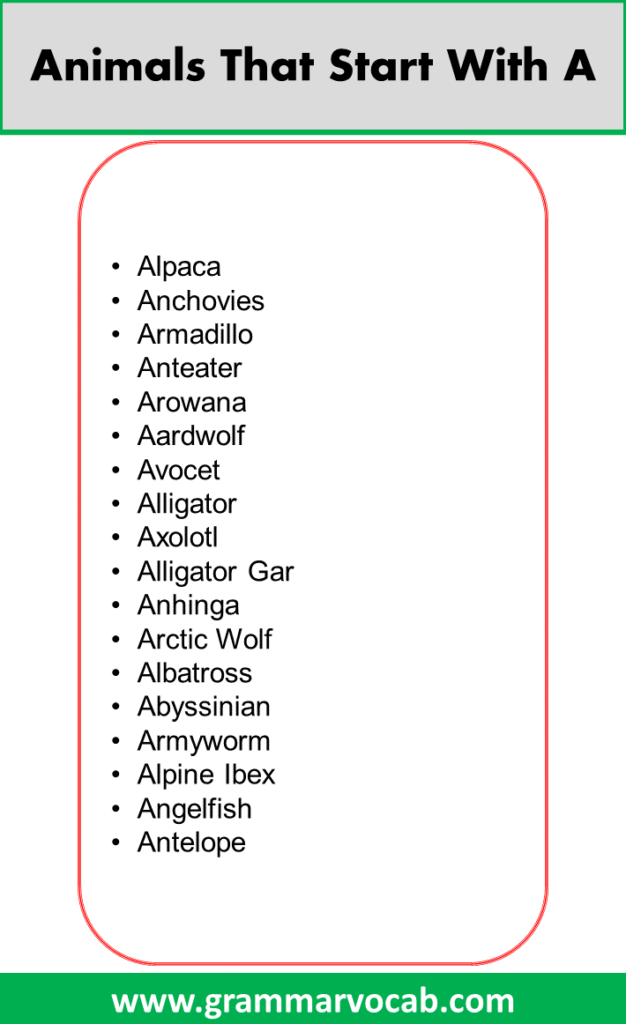 List of Nouns Starting With A - GrammarVocab
