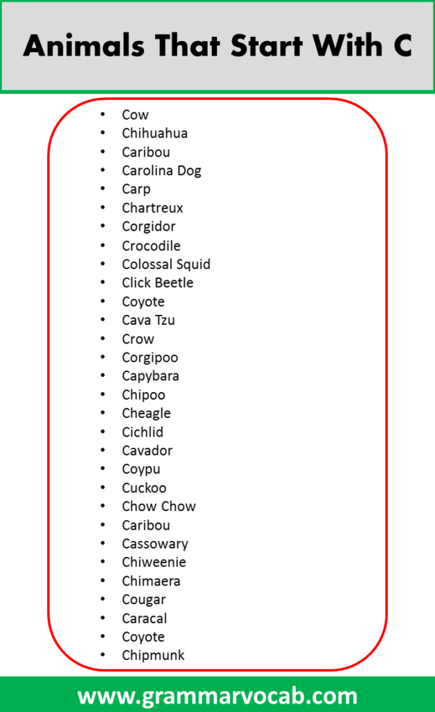 List of Nouns Starting With C - GrammarVocab
