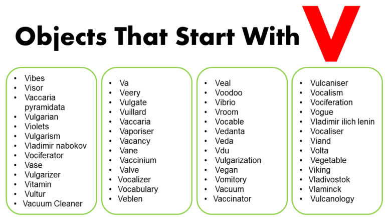 Objects That Start With V - GrammarVocab