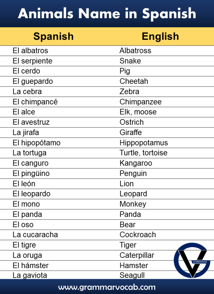 Names Of Animals In Spanish GrammarVocab Names Of Animals In Spanish GrammarVocab