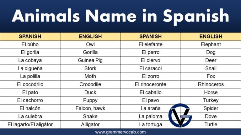Names of Animals in Spanish - GrammarVocab