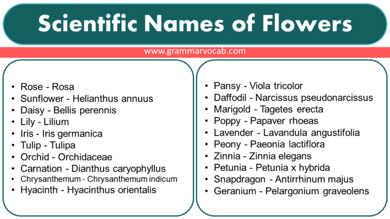 Scientific Names of Flowers - GrammarVocab