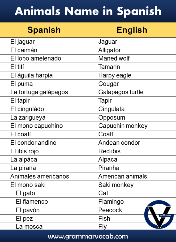 Names of Animals in Spanish - GrammarVocab