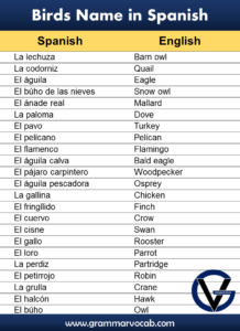 Names of Animals in Spanish - GrammarVocab