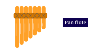 Musical Instruments Names, Information and Pictures - GrammarVocab