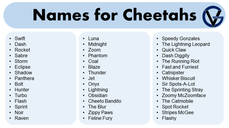 Good Names for Cheetahs - Naming Ideas - GrammarVocab