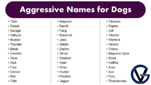 Strong and Powerful Names for Aggressive Dogs - GrammarVocab