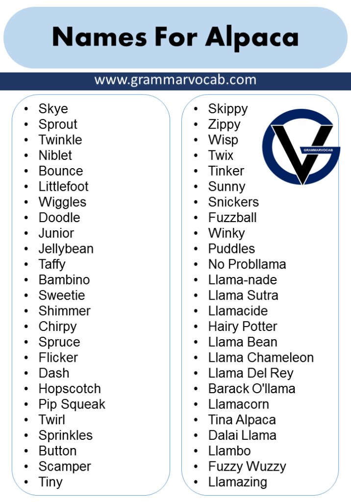 List Of Names for Alpaca - Naming Ideas - GrammarVocab