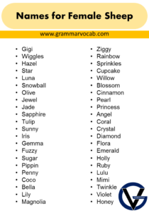 Good Names for a Sheep - Naming Ideas - GrammarVocab