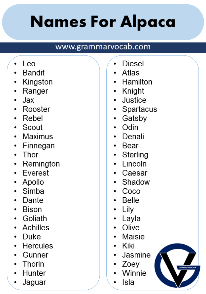 List Of Names for Alpaca - Naming Ideas - GrammarVocab
