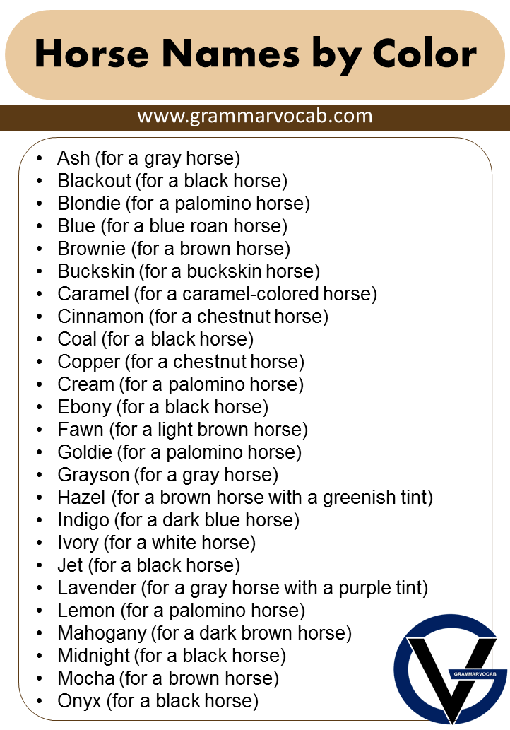 List Of Names For A Horse Naming Ideas GrammarVocab