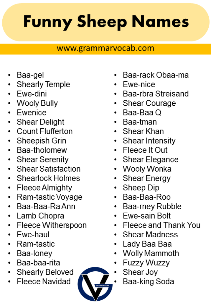 Good Names For A Sheep Naming Ideas GrammarVocab