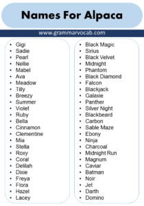 List Of Names for Alpaca - Naming Ideas - GrammarVocab
