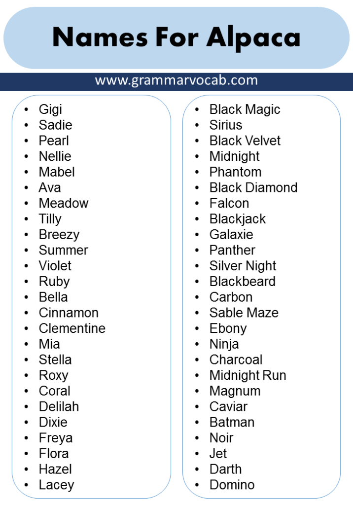 List Of Names for Alpaca - Naming Ideas - GrammarVocab