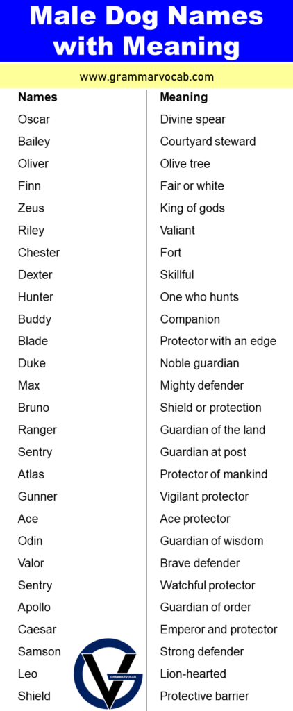 Male Dog Names with Meaning - GrammarVocab
