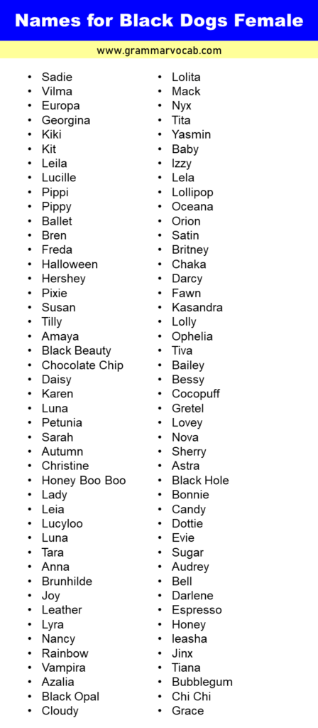 List of Names for Black Dogs Females - GrammarVocab