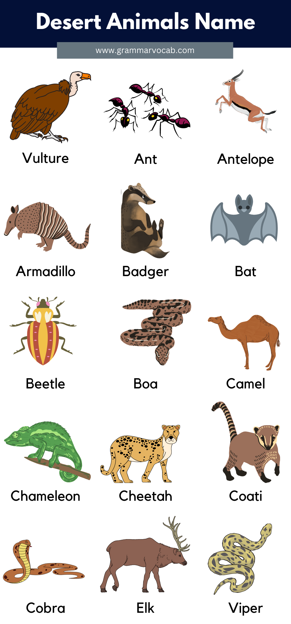 Desert Animals List With Pictures Facts GrammarVocab Desert Animals List With Pictures Facts GrammarVocab