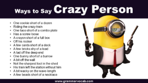 Funny Ways to Say Crazy Person - GrammarVocab