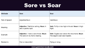 Sore vs Soar: Clarifying the Confusion - GrammarVocab