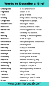 Adjectives: Words To Describe Birds - GrammarVocab