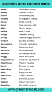 Adjectives: M Words to Describe Someone - GrammarVocab