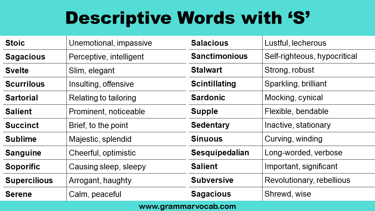 Insulting Words Beginning With S
