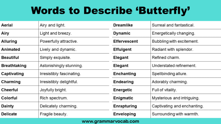 Adjectives: Words To Describe a Butterfly - GrammarVocab